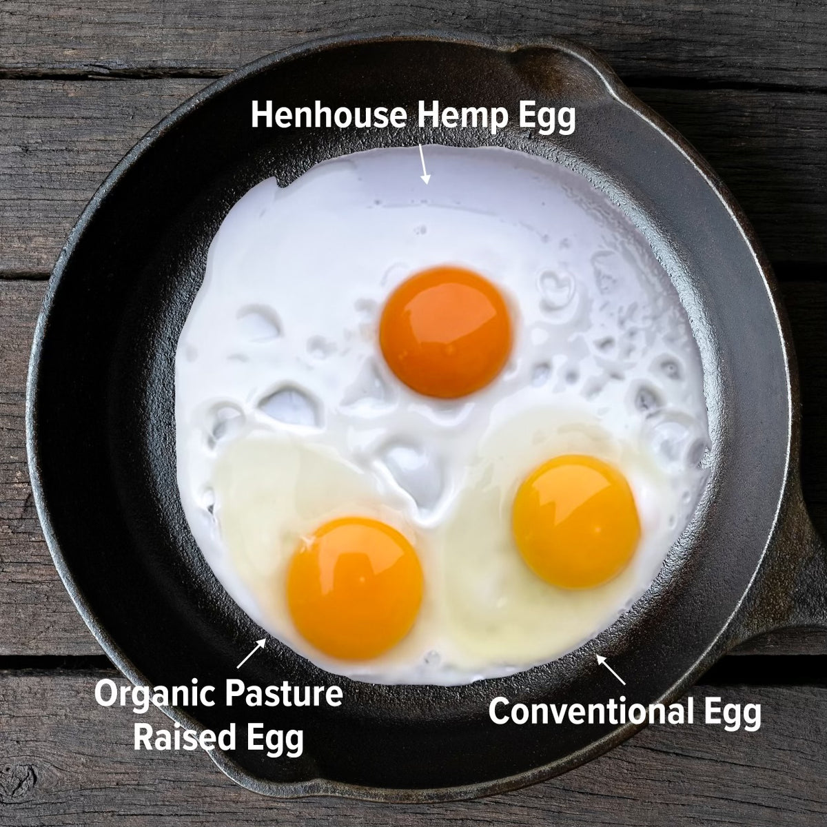 Henhouse Hemp - Omegify your Eggs, the Organic Way! 4 LB – Eaton Pet ...