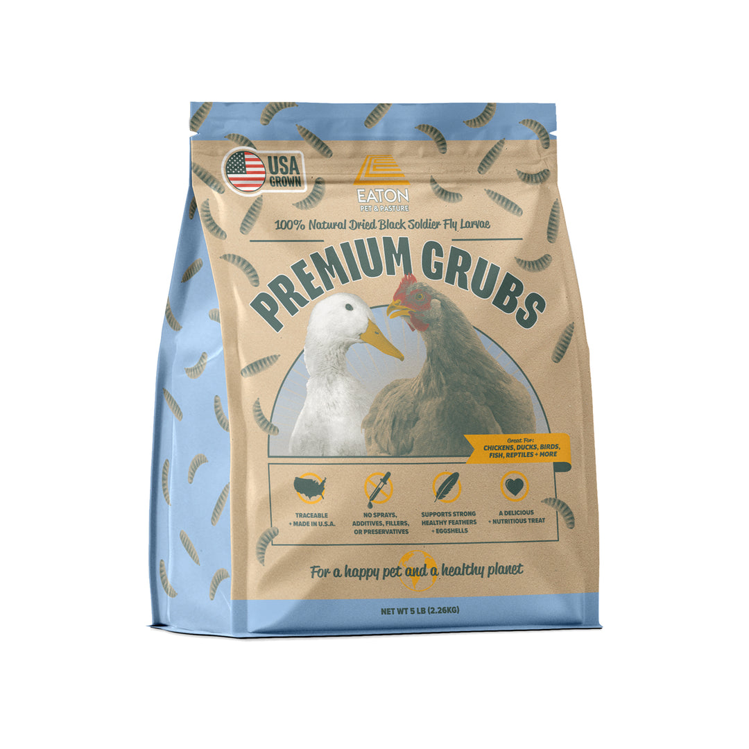 Premium Grubs, USA Grown Dried Black Soldier Fly Larvae, High Calcium ...