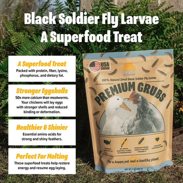 Premium Grubs, USA Grown Dried Black Soldier Fly Larvae, High Calcium ...