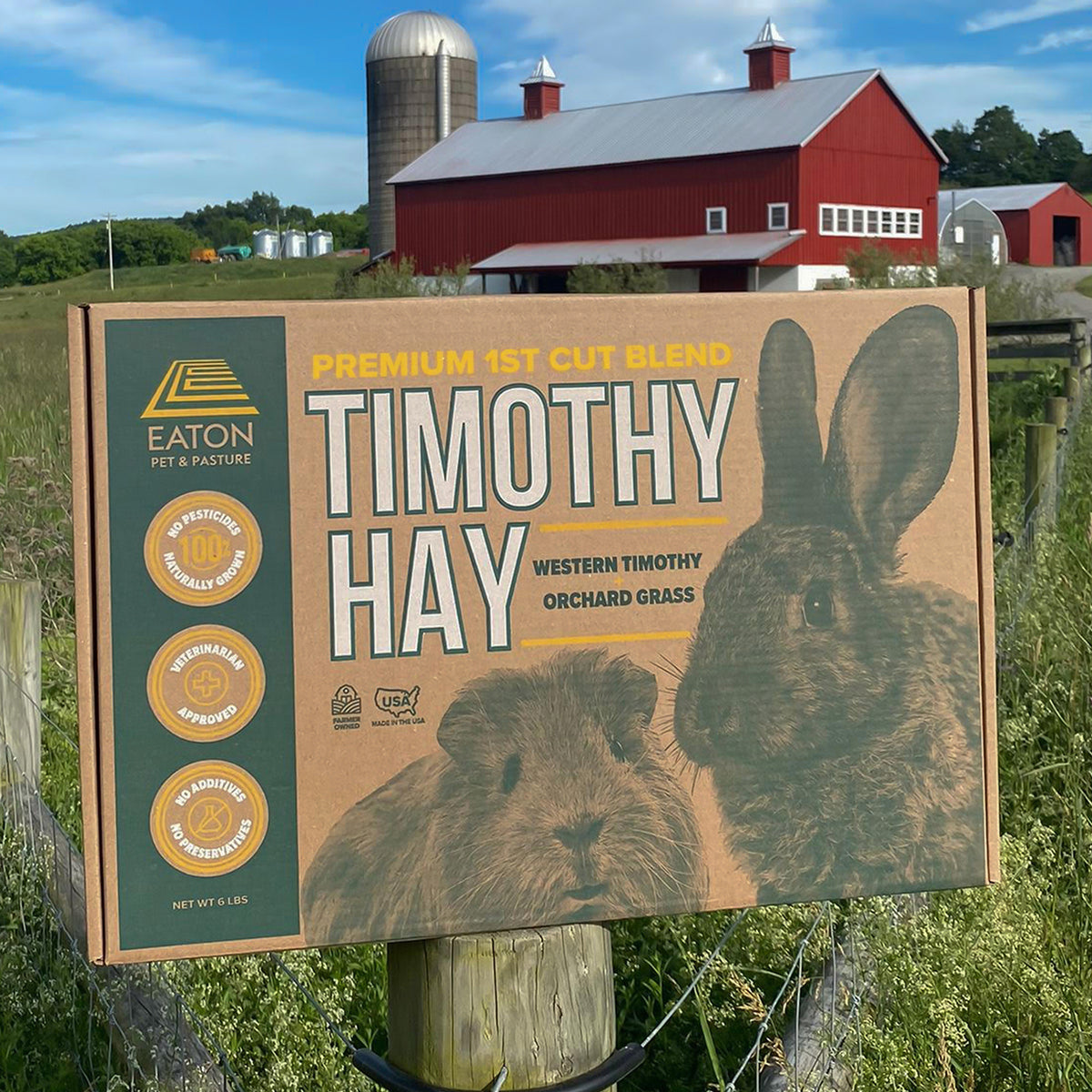 Premium 1st Cut Blend Timothy Hay (6lb) – Eaton Pet and Pasture